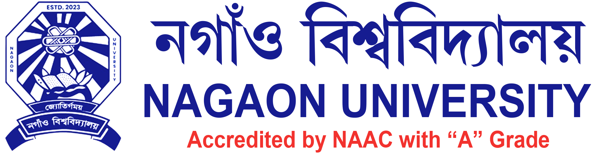 Nagaon University
